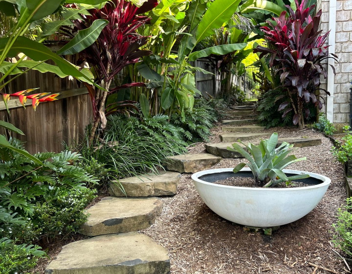Golden Penda Sanctuary - Mullumbimby