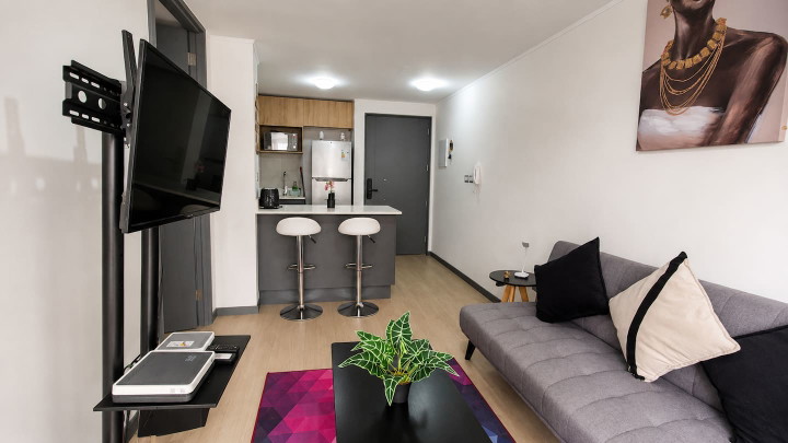 A Stone's Throw From La Moneda + Free Parking - Santiago