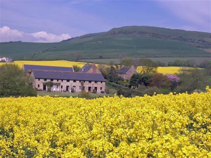 Country Cottage By Jurassic Coast. Stunning Views! - Dorset