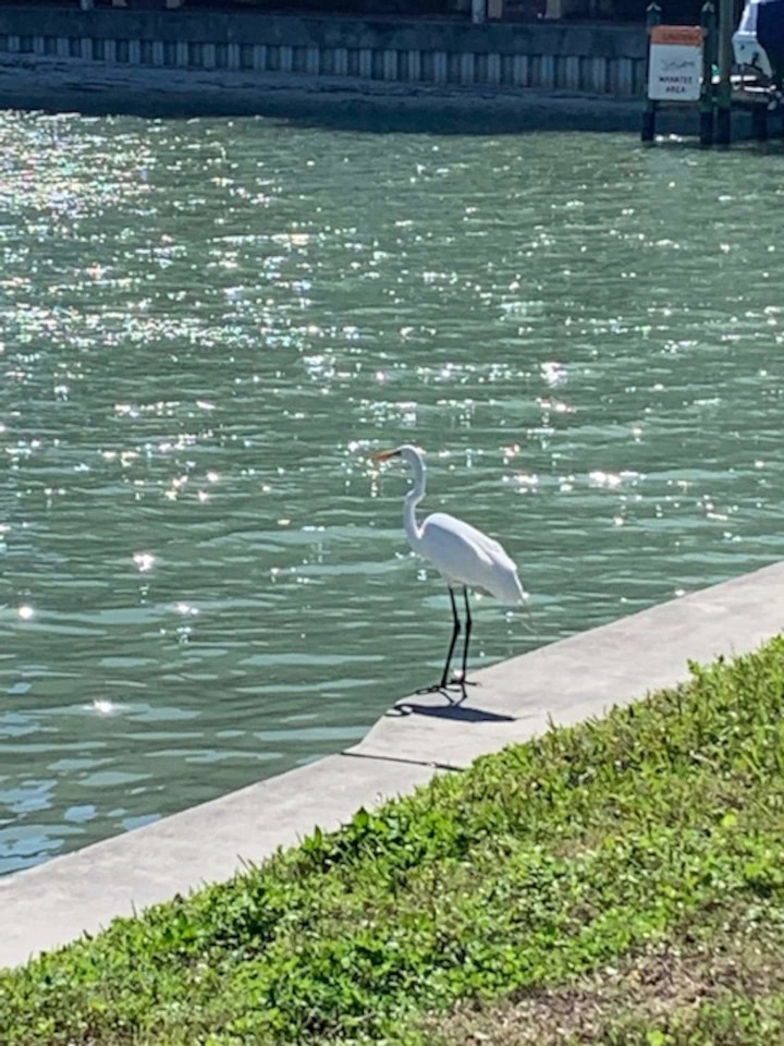 Clearwater Beach Oasis 8 - Dunedin, FL
