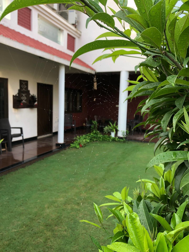 Darren's Place - Agra