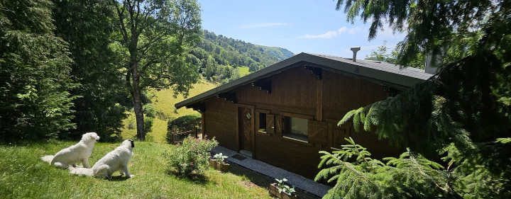 Charming Chalet With Great Views And Outdoor Area - La Bresse