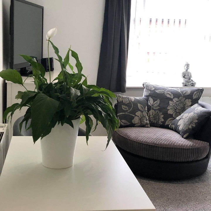 Smart Town Centre Apartment - Staffordshire