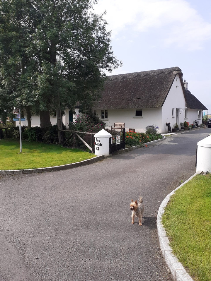 Oxford Island Home With A Countryside View - Armagh