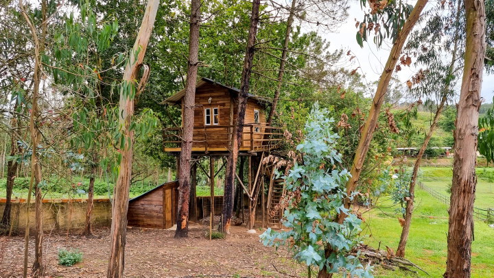Tree House Alameda/vale D Silva Villas/adults Only - Águeda