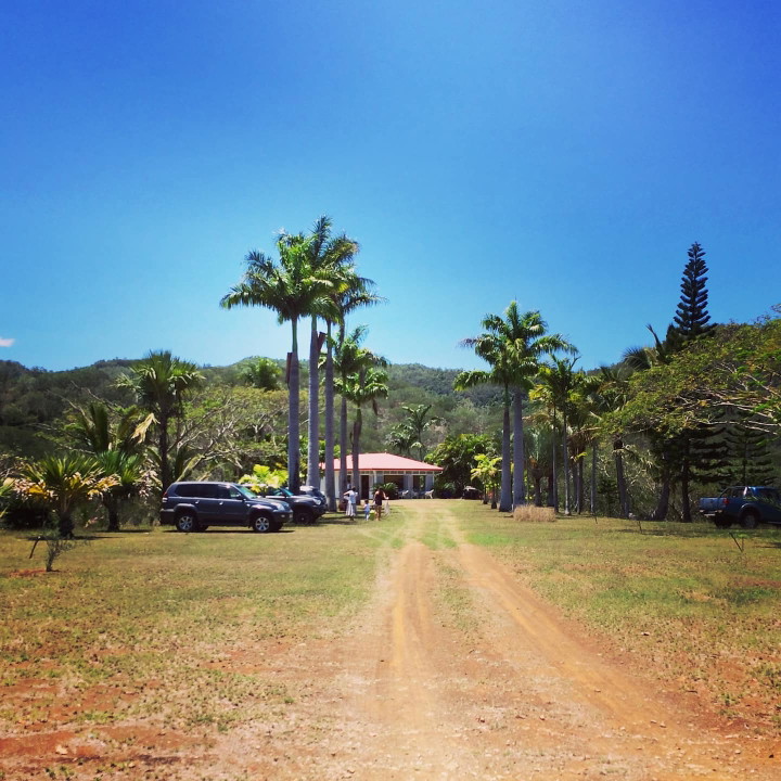 Villa Régina In Pocquereux: In The Heart Of The Bush - New Caledonia