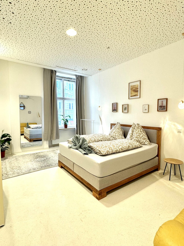 Central Vienna Apartment 140 M2 - Wien