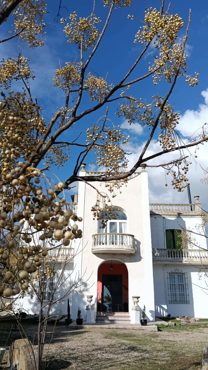 Casa La Charpona · Finca Histórica De 1915 - Hormigos