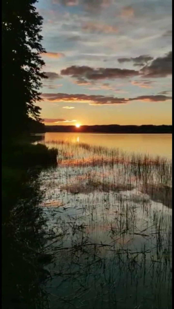 Sauna, Jacuzzi, Piscine, Lac, Forêt - À Na Luzie Dans La Forêt - Pologne