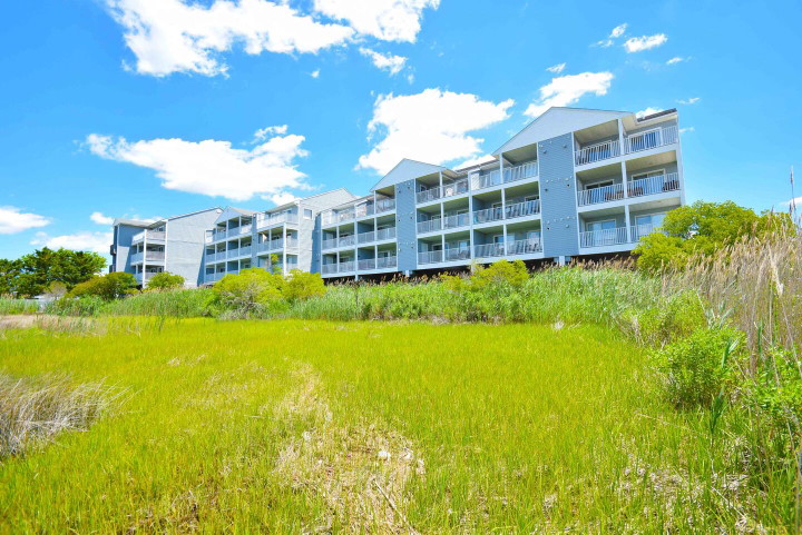 Oasis On The Bay 310 - Ocean City, Md - Ocean City, MD