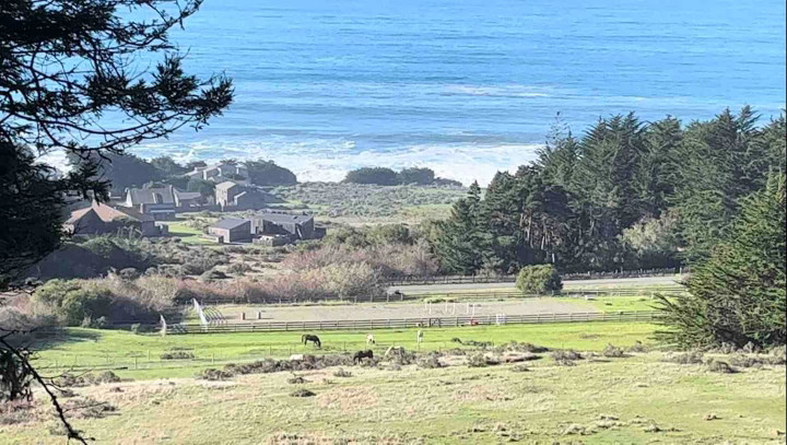 Seahorse Retreat: Ocean Views, Tall Trees, Privacy - Sea Ranch, CA