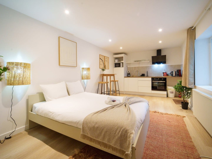 Studio Cozy - Bodan - City Center - Brüssel