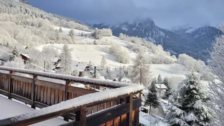 Ski/mountain/snowshoe/christmas Market/lake Geneva - Lausanne