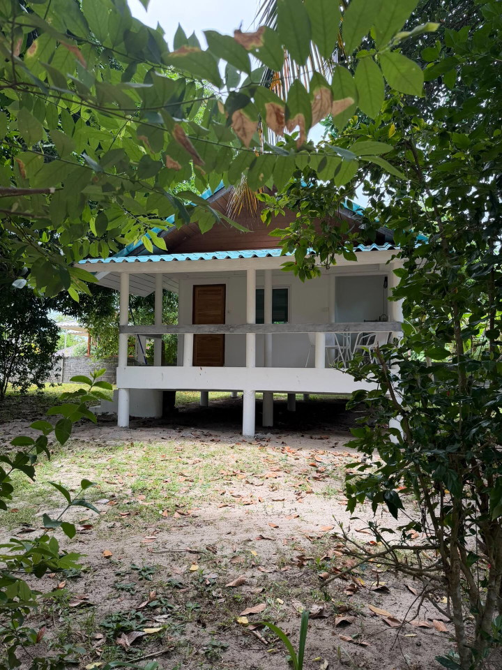 Moon House Iv Hin Kong/wok Tum (Just Renovated) - Ko Pha Ngan