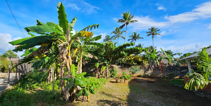 Villa Jardín Tropical - Dominican Republic
