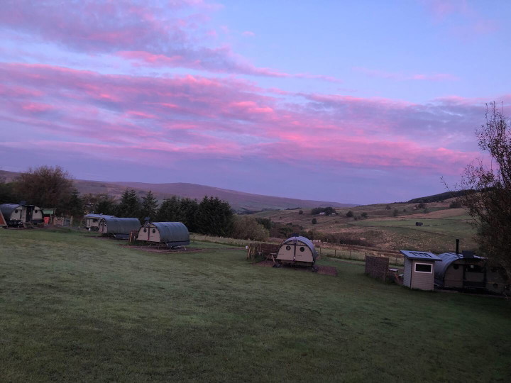 Woodland Lodge Hare - Alston