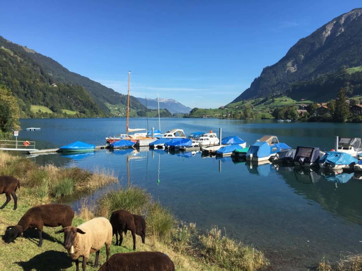 Studio Apartment Lungern-obsee - Meiringen