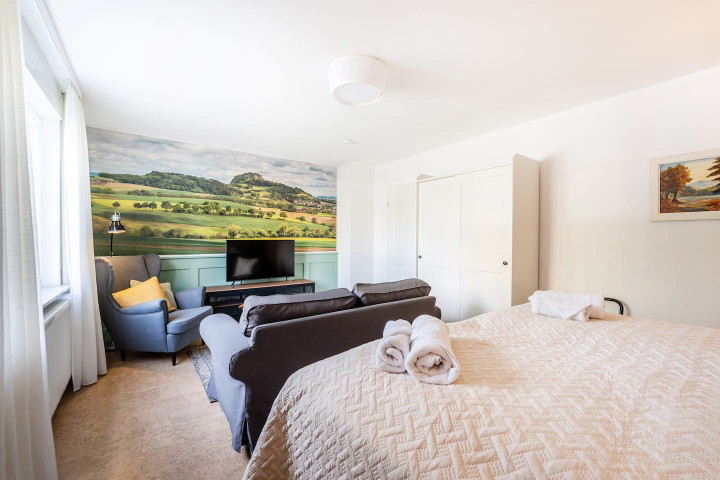 Appartement Confortable Entre Le Lac De Constance Et Les Volcans De Hegau - Singen