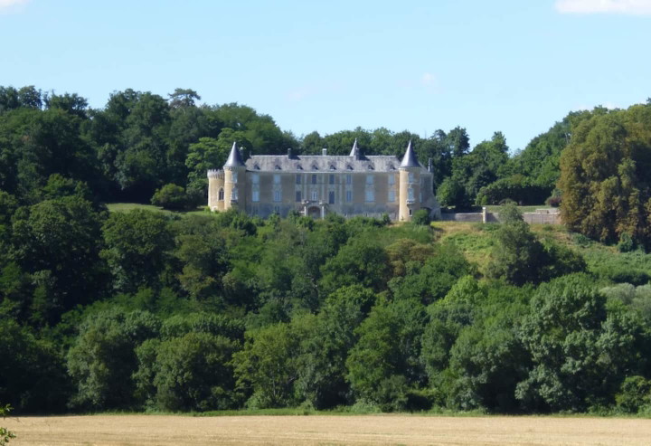 Gîte Dans Le Château De La Flotte, Avec Piscine - Sarthe