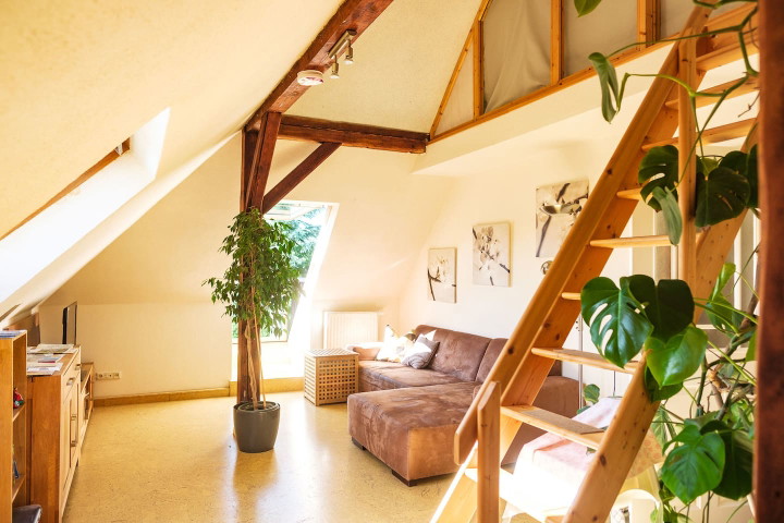 Dg Apartment With Garden View | Allergy-friendly - Erfurt