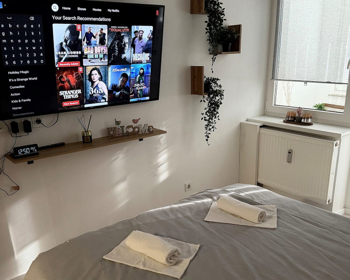 Studio Enemia - Lesce