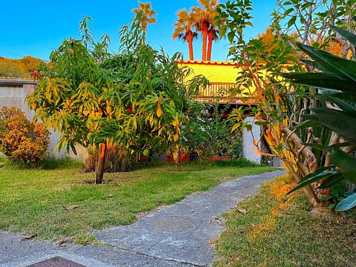Villa Kalos - In The Countryside, Near The Sea. - Forio