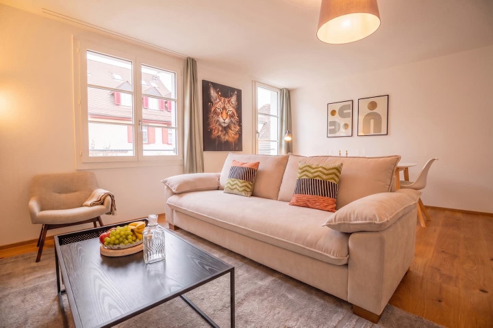 Renovated Old Town Apartment By The Rhine, Basel - Basel