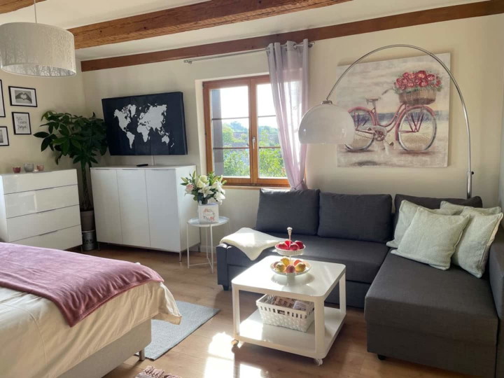Studio Confortableeuroairportprès De Bâlejardinparking - Bartenheim