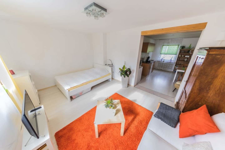 Quiet Apartment (30 Sqm) In Cologne-dünnwald - Cologne
