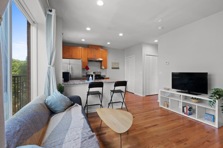 Bright Apt In Heart Of Chinatown - Chicago, IL