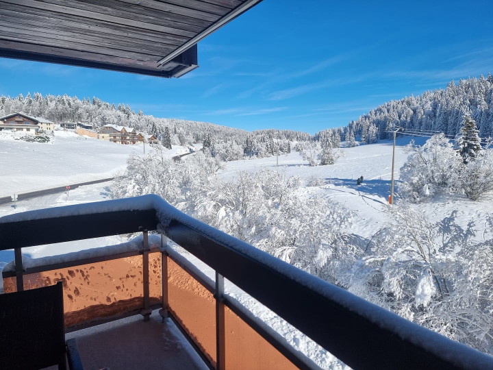 Studio Accès Direct Pistes De Ski Alpin Et Fond - Lamoura