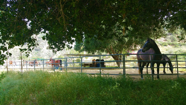 200 Person Event Huge Ranch Cottage Sleep5 Camp200 - Los Angeles