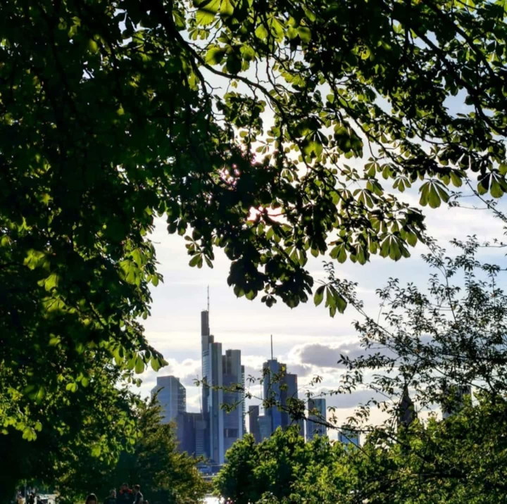 Close To The Center And Directly On The Park. - フランクフルト