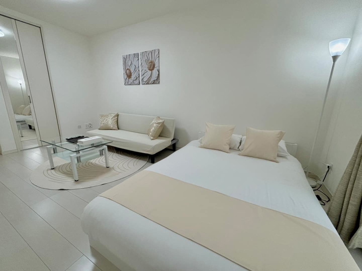 Nabers Hotel Rakuzen, 1 Bedroom Apartment - Japan