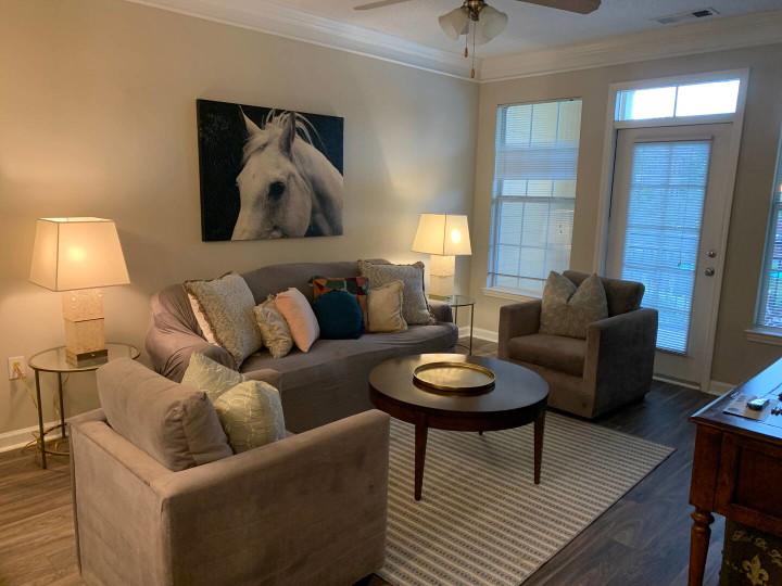 Fabulous One Bed/one Bath Corporate Furnished Apt - Alpharetta, GA