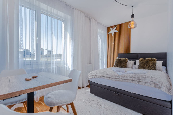 Studio Apartment Meadows 182/apt 8 - Fichtelberg