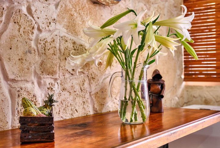 Tulip Penthouse - La Havane