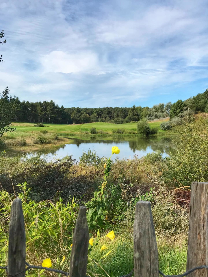 Belle Dune: Maison Avec Magnifique Vue Sur Le Golf - Quend Plage