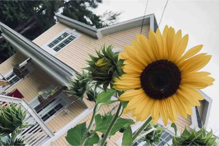 A Haven Of Peace In St-colomban - Mirabel