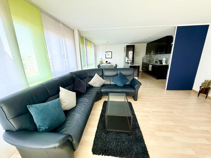 Bright, A/c Apartment Near Airport And City Center - Zürich