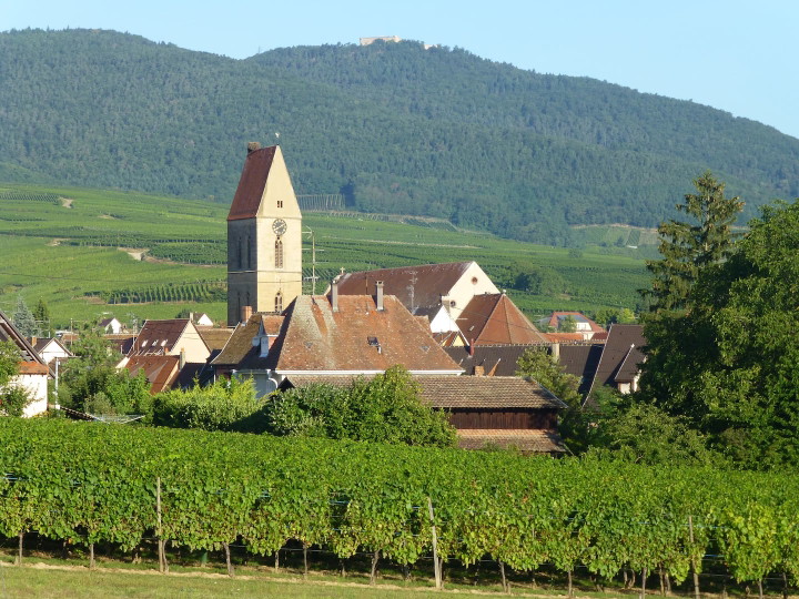 Gite Vue Sur Vignoble Et Forêt - Eguisheim