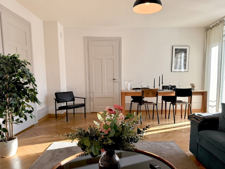 Beautiful Bright Old Building Apartment With Gym 3rd Floor - Bern