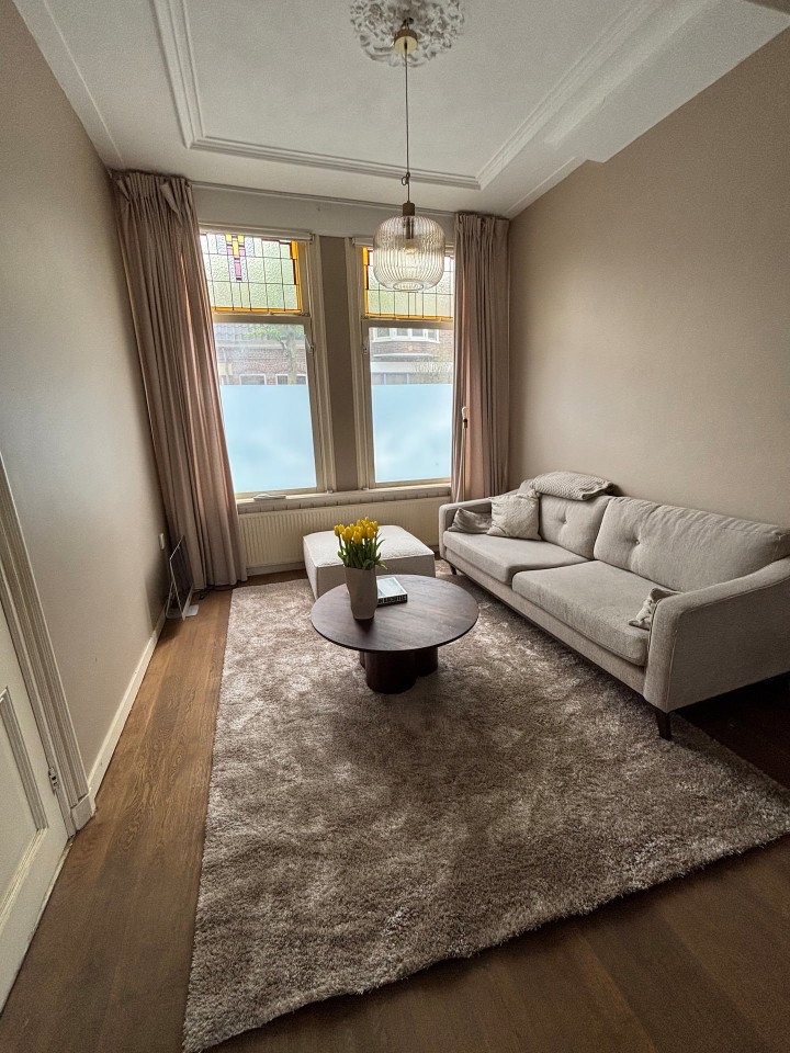 Nice Light Apartment Near City Center Haarlem - Haarlem