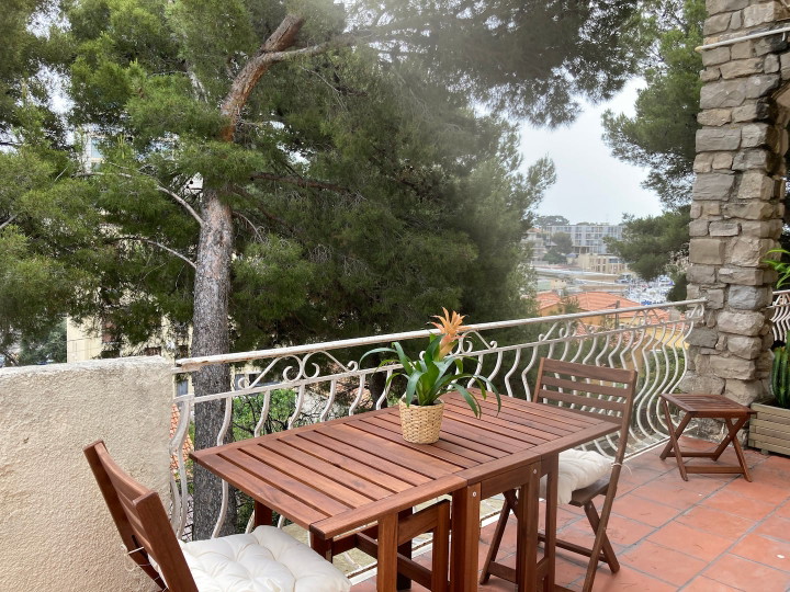 Bel Appartement Avec Terrasse Sur Le Port - Châteauneuf-les-Martigues