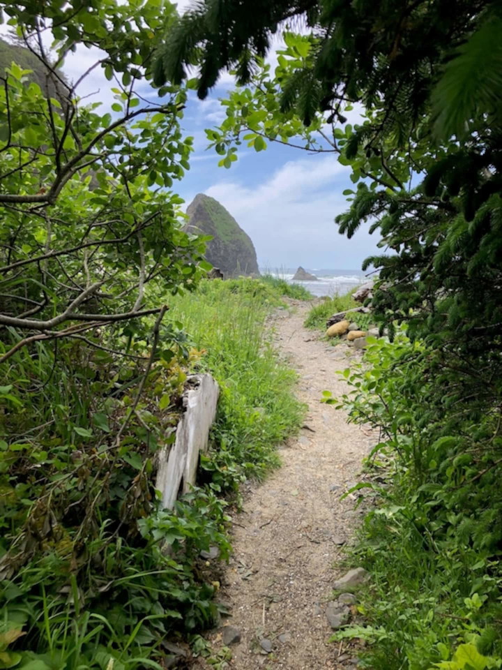 Arch Cape: Cozy Beach Walk, Pet-friendly - Cannon Beach, OR