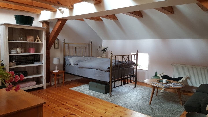 Süßes 35qm Apt. Direkt Im Zentrum Von Potsdam - Potsdam