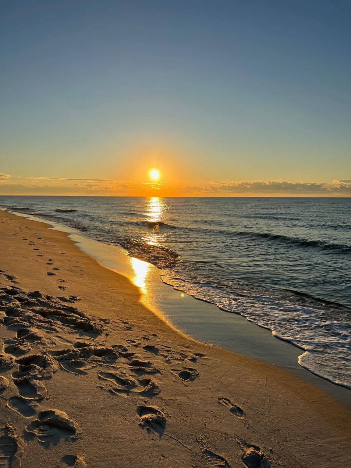 Beachful Bliss - Seacrest 908 - Alabama