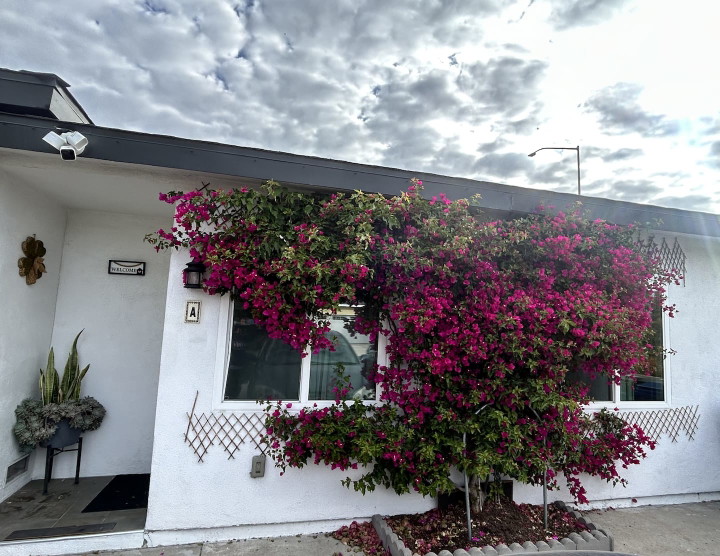 Casita Corazón| Cozy La Retreat W/ Kitchen & Patio - Downey