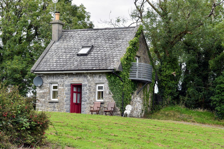 The Nest - Galway