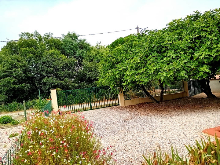 Le Figuier - Laroque-des-Albères